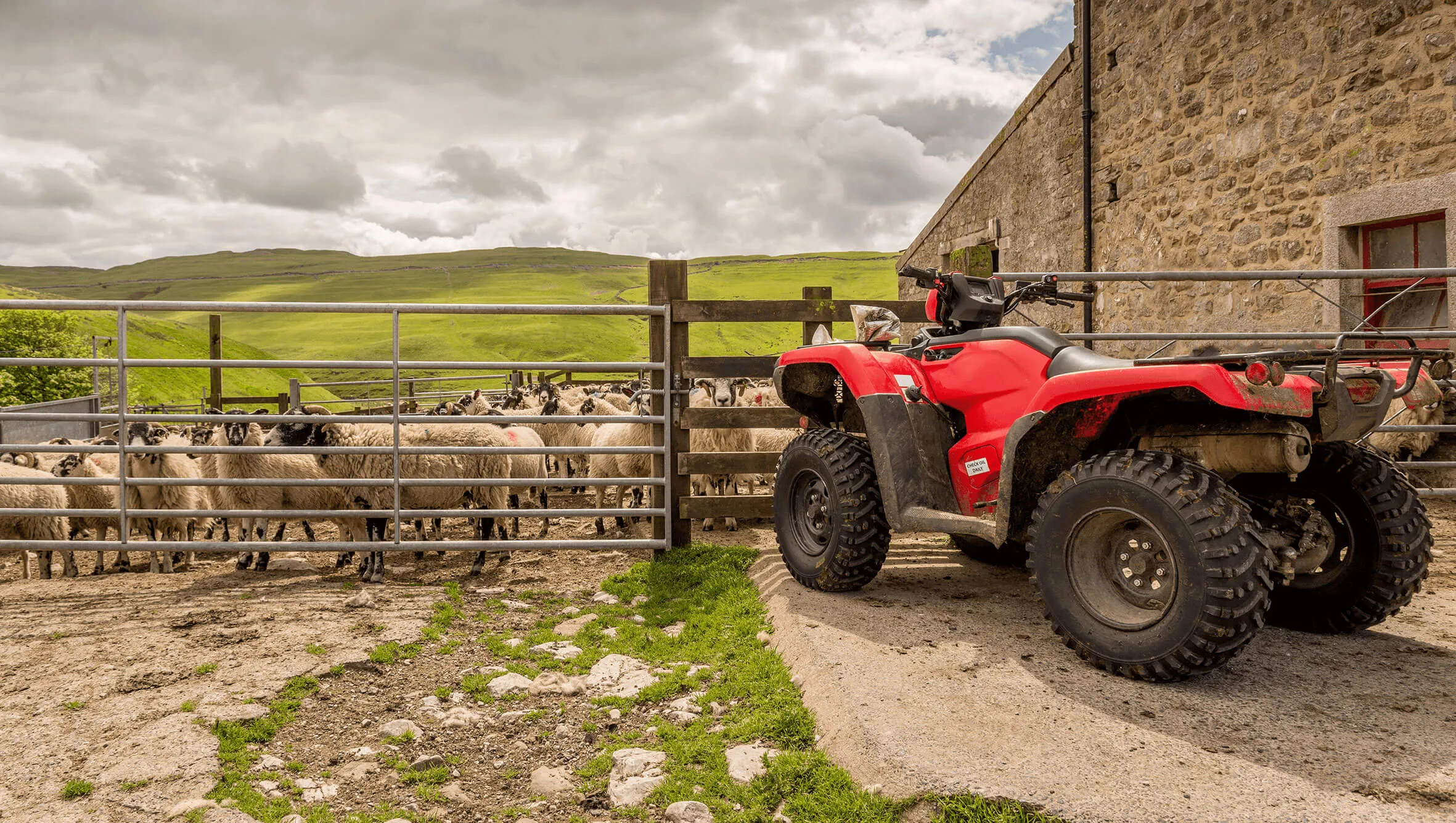 Car, Home, Business & Farm Insurance | FBD Insurance Ireland