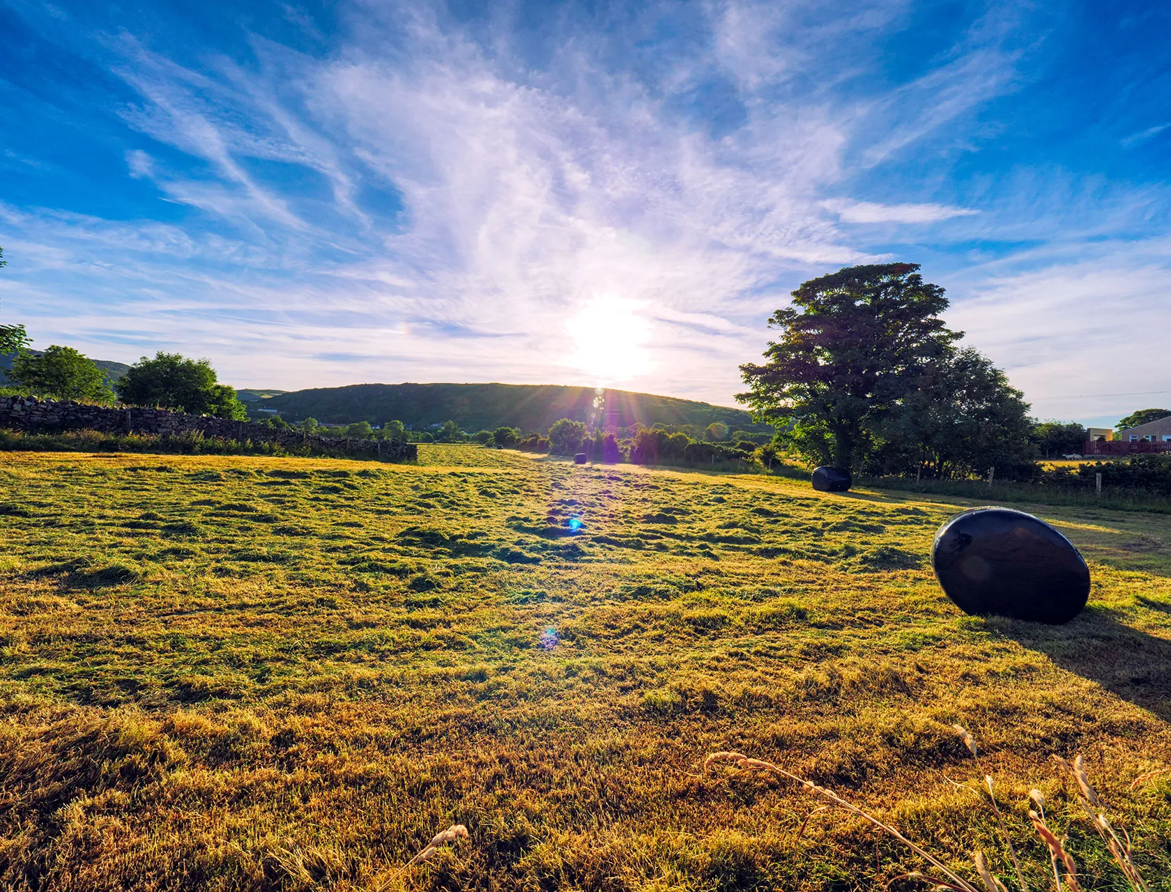 Car, Home, Business & Farm Insurance | FBD Insurance Ireland