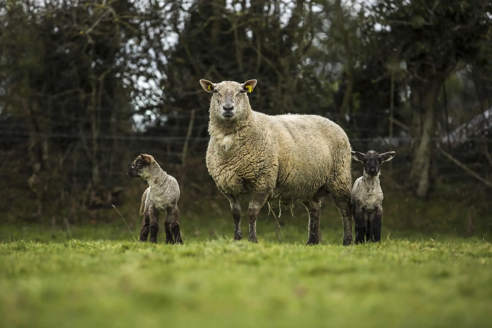 Last minute slurry safety