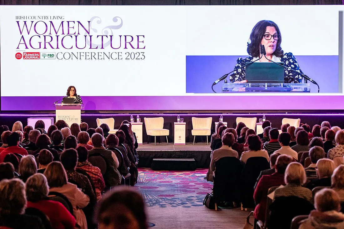 What does FBD stand for? Ad Campaign 2025 | FBD Insurance